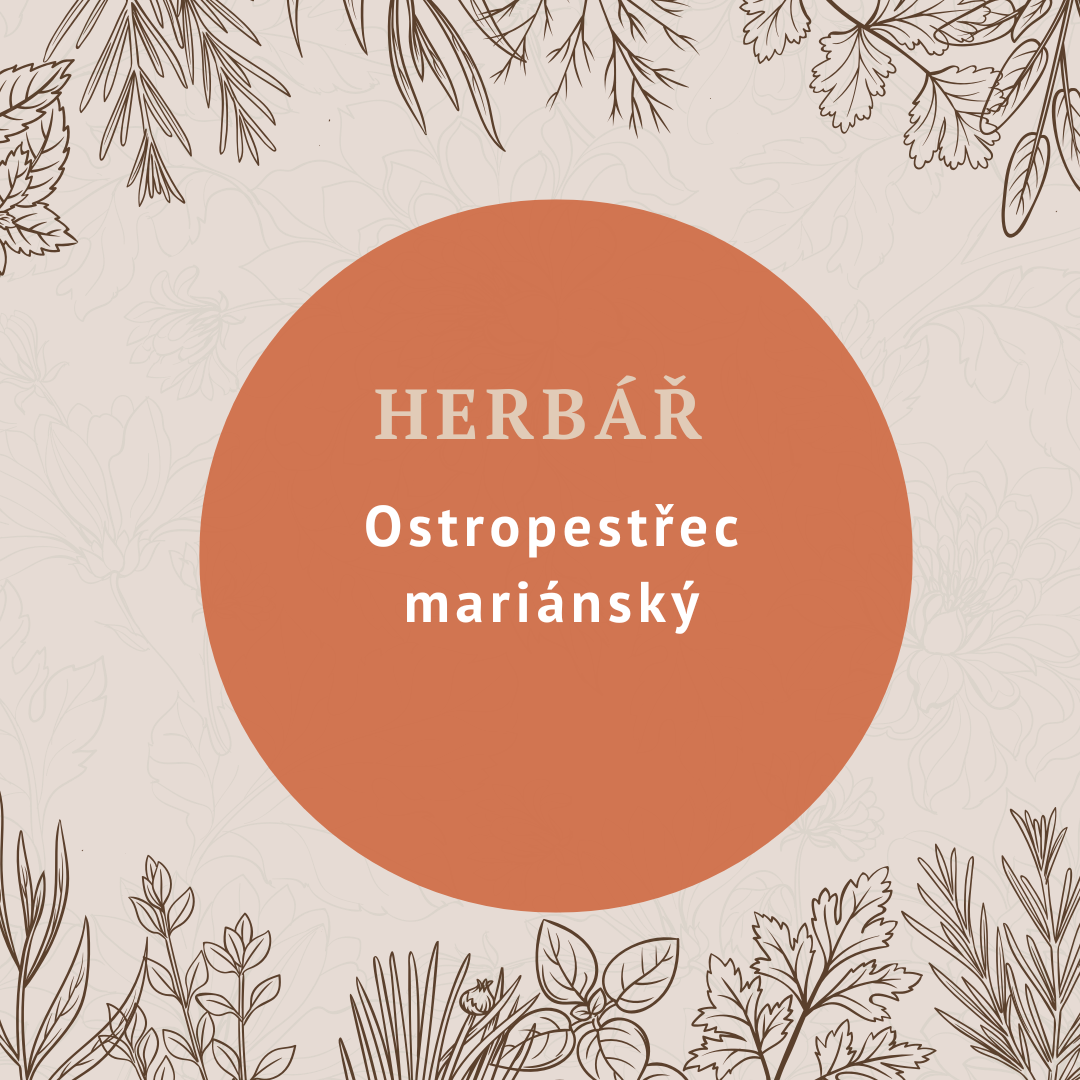 ostropestrec-mariansky